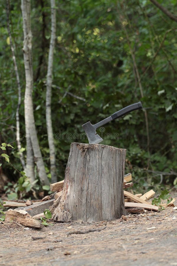 Ax stuck in a tree stump stock photo. Image of lumberman - 61037164