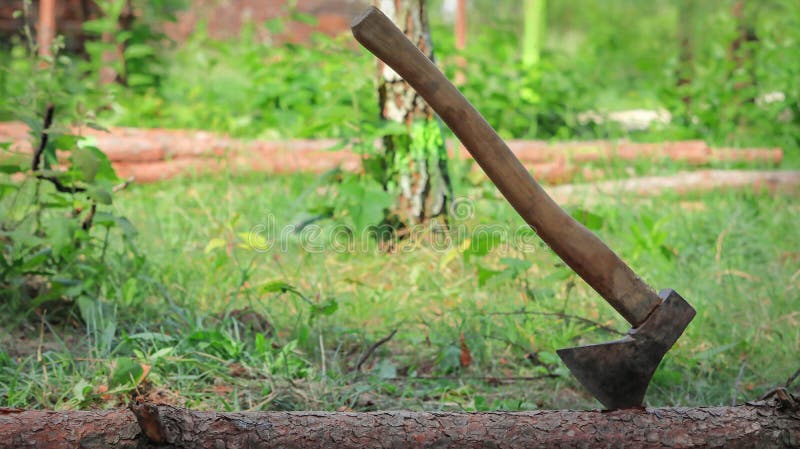 An Ax Stuck in a Tree Trunk. Stock Image - Image of chop, hatchet ...