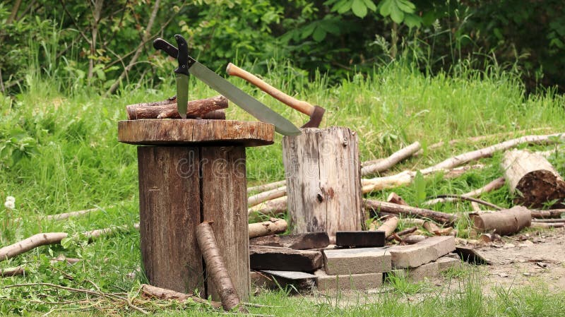 An Ax Stuck in a Tree Trunk. Stock Photo - Image of firewood, animal ...