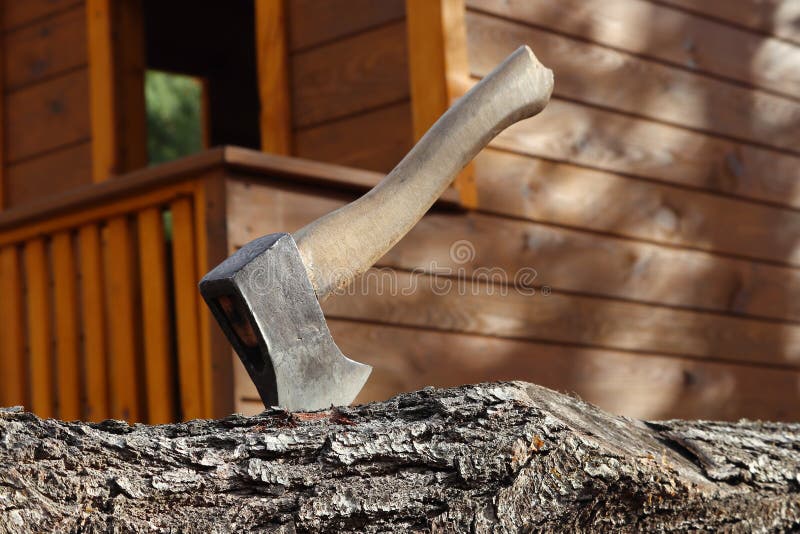 An Ax Stuck in a Tree Trunk. Stock Photo - Image of hatchet, carving ...