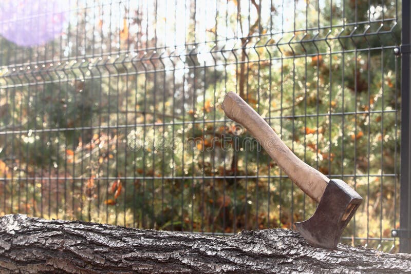 An Ax Stuck in a Tree Trunk Stock Photo - Image of hardworking ...