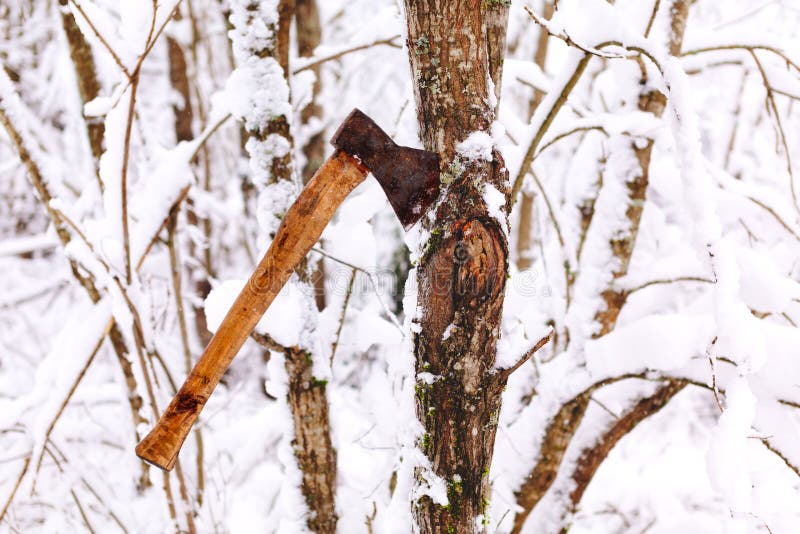 Ax stuck in a tree stock photo. Image of rusty, hatchet - 48934274