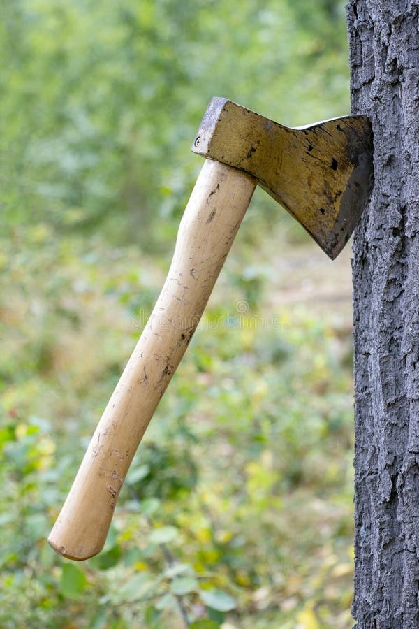 Ax thrust into the trunk stock photo. Image of handle - 100139158