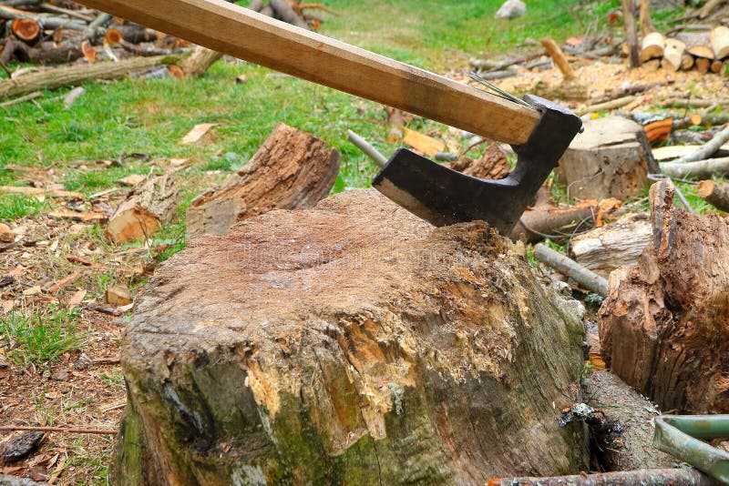 Old Ax in the wood stock photo. Image of petting, landscape - 104197136