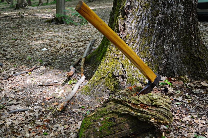 Ax in the wood stock photo. Image of tool, trees, wood - 71033428