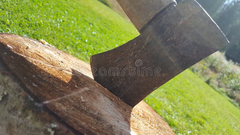 Ax in wood stock image. Image of tools, treetrunk, lumber - 77076113