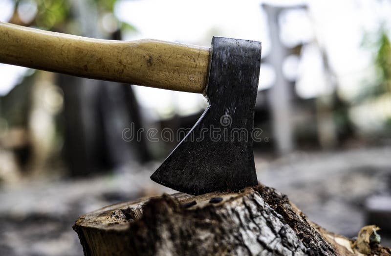 An Ax with a Wooden Handle Rests on the Felled Tree Stock Photo - Image ...