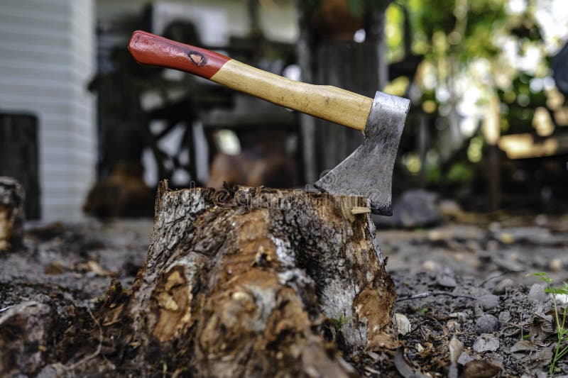 An Ax with a Wooden Handle Rests on the Felled Tree Stock Image - Image ...
