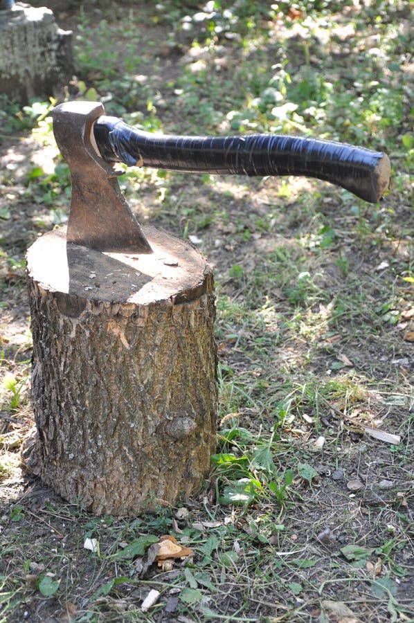Axe in tree stump stock photo. Image of energy, rural - 6491190