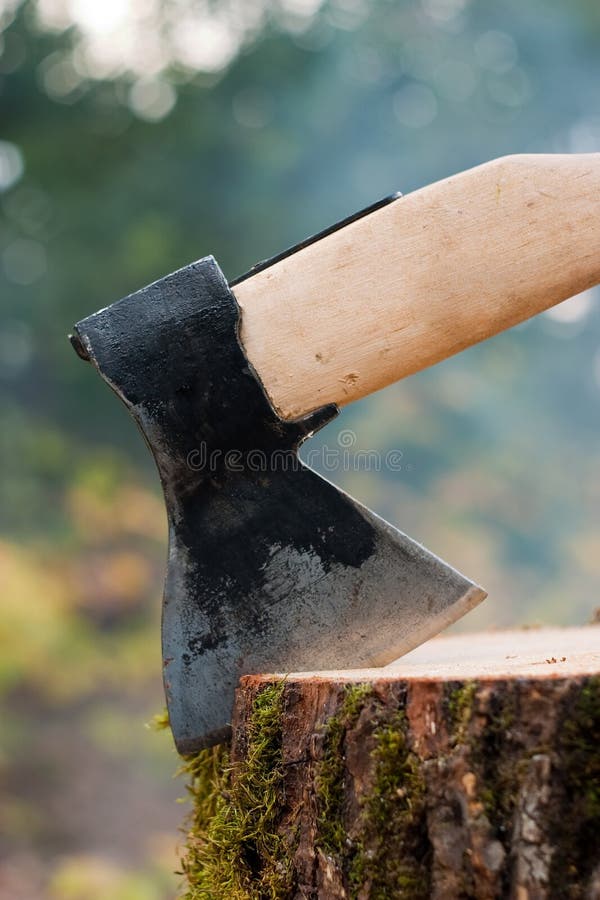 Axe in wood stock photo. Image of axes, lumberjack, loggers - 23504506