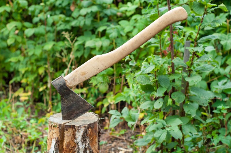 Axe in tree stump stock photo. Image of energy, rural - 6491190
