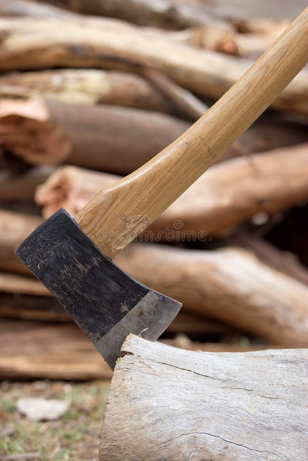 Axe in wood stock photo. Image of axes, lumberjack, loggers - 23504506