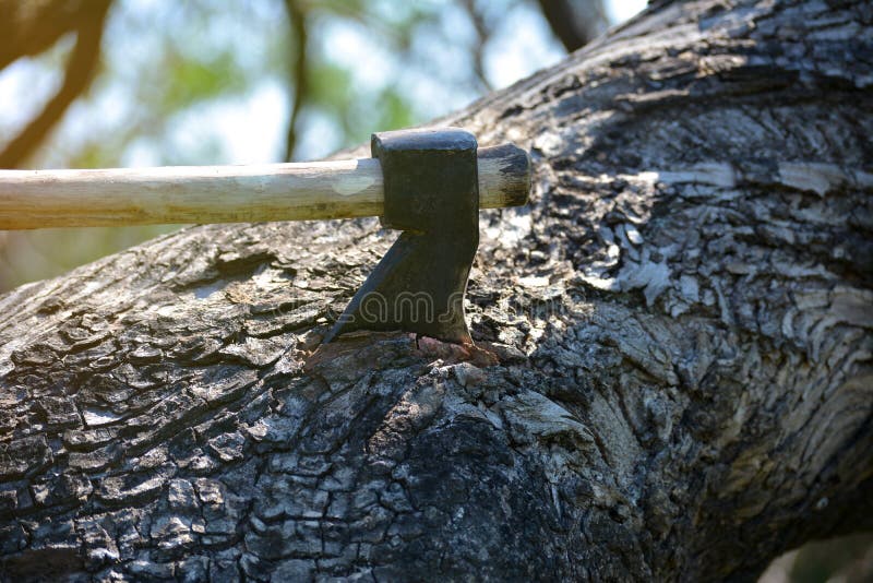 Axe. stock photo. Image of natural, firewood, logger - 172714752