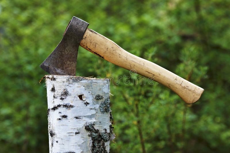 Axe in Birch log stock photo. Image of piece, birch, tree - 14517524