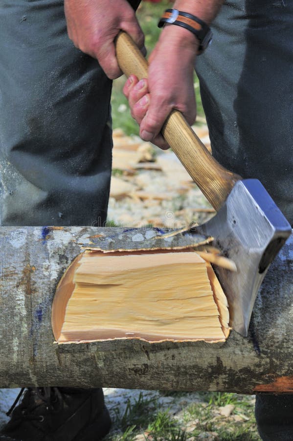 Axe blow stock photo. Image of beech, tool, logger, chopping - 9232798