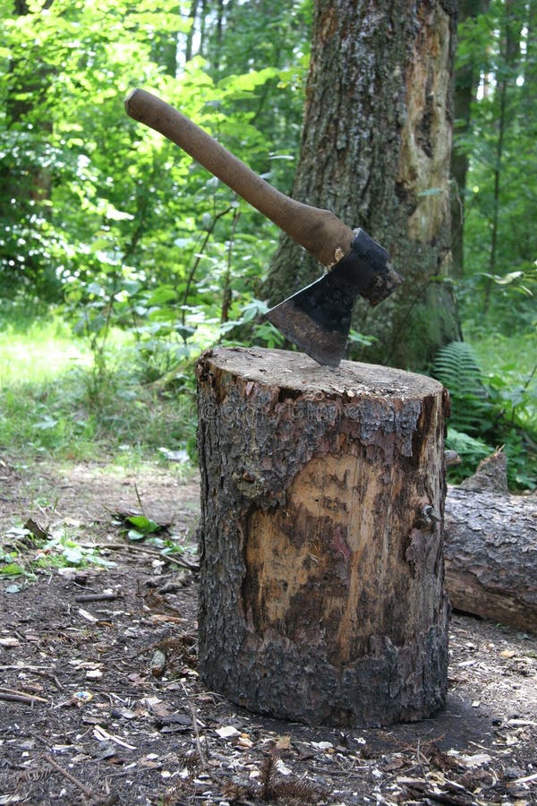 Axe, Chop firewood stock photo. Image of wood, billet, cutter - 410540