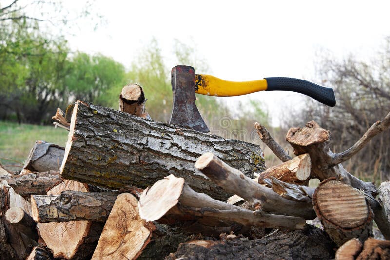 Axe with chopped wood stock image. Image of firewood - 40366777