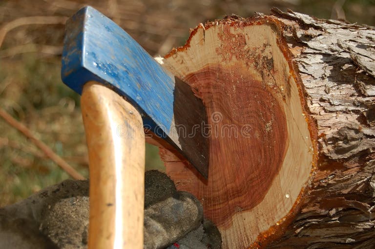 46,606 Axe Images Stock Photos - Free & Royalty-Free Stock Photos from ...