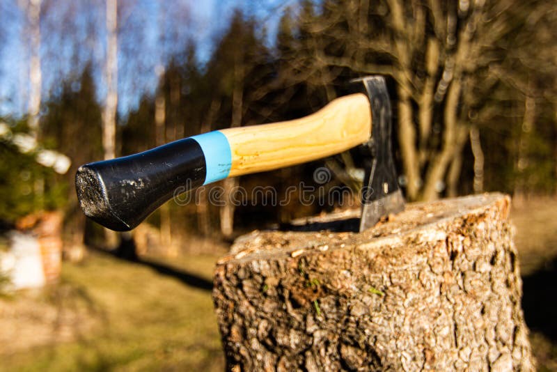 Axe Cut into Wood Log after Chopping Firewood Stock Photo - Image of ...