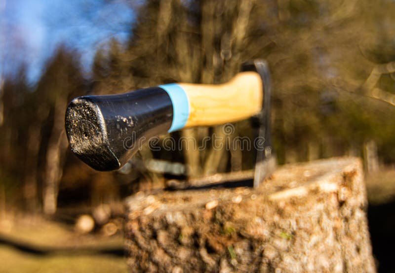 Axe Cut into Wood Log after Chopping Firewood Stock Image - Image of ...