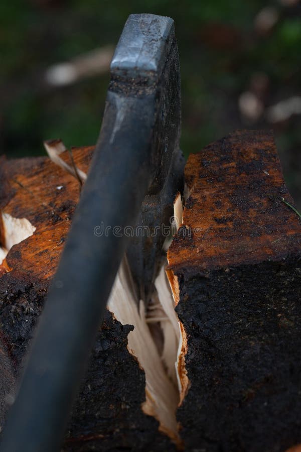 Axe cutting through log stock photo. Image of hardwood - 261483232