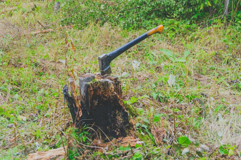 Axe Driven into a Stump for Chopping Wood Stock Photo - Image of ...
