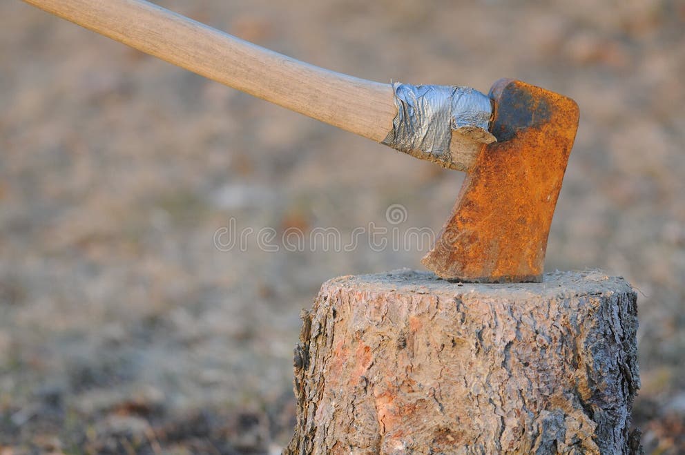 Axe embedded in tree stump stock image. Image of steel - 4877843