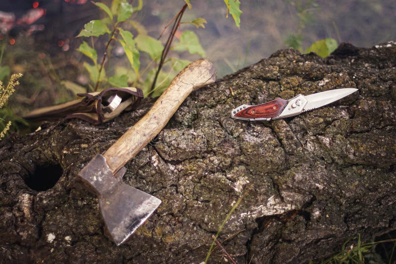 Axe and Folding Knife Lying on the Bark of a Fallen Tree in the Forest ...