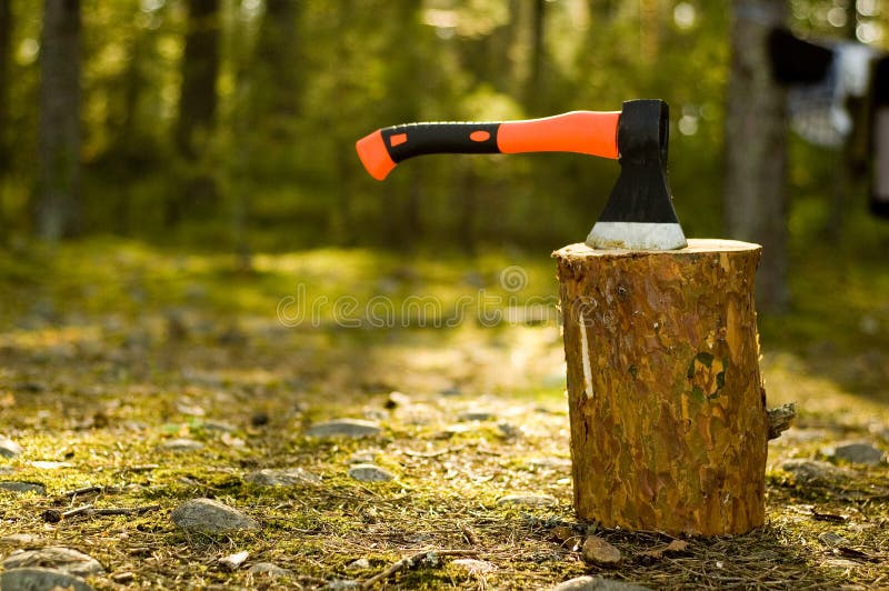 Axe and log stock photo. Image of wood, blade, work, tourism - 10828178