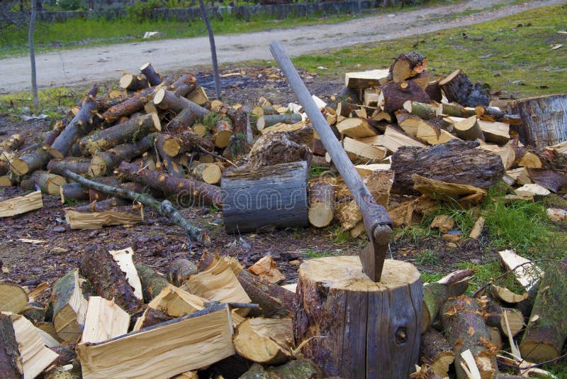 Axe in log stock photo. Image of hatchet, hardwood, chop - 23210210