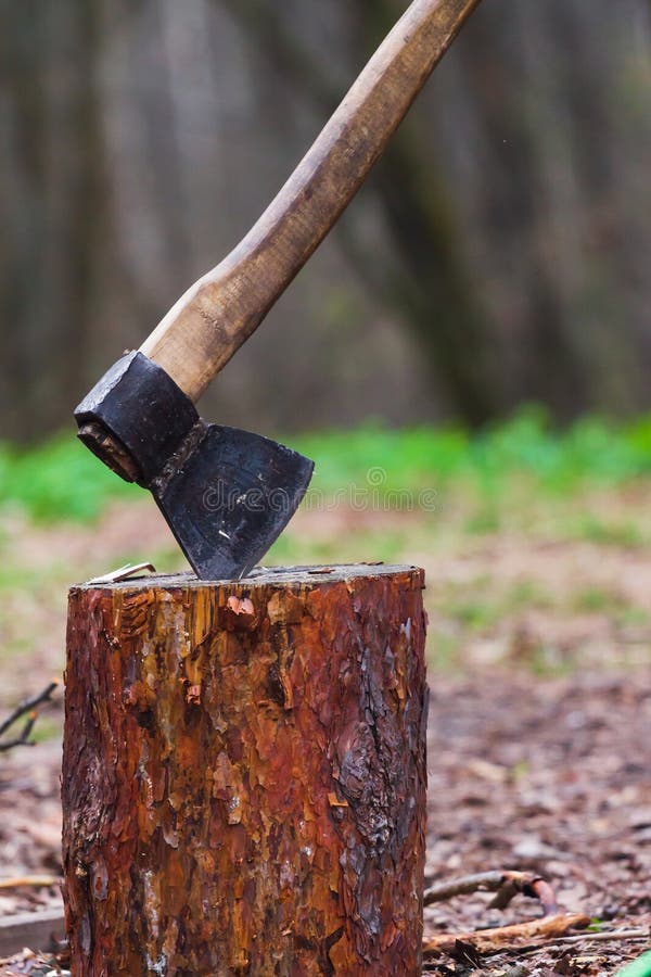 Axe in a log, closeup stock image. Image of timber, tree - 190593627