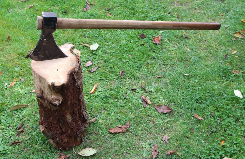 Axe in a log stock photo. Image of tool, trunk, bark - 96345960