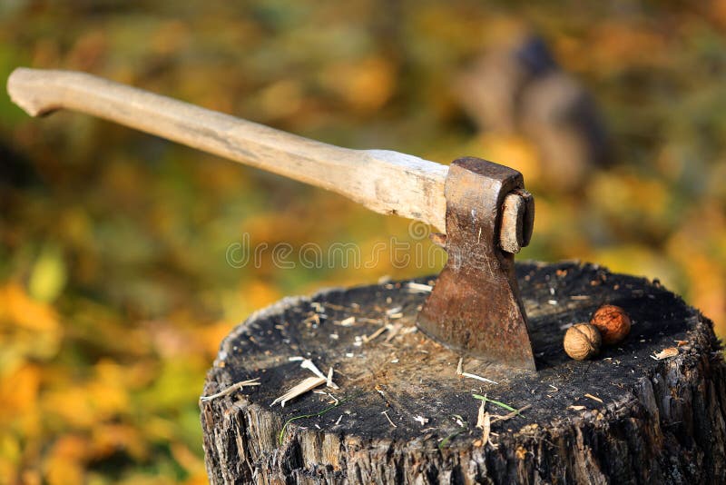 Axe in log stock photo. Image of lumberjack, chop, stump - 35414188