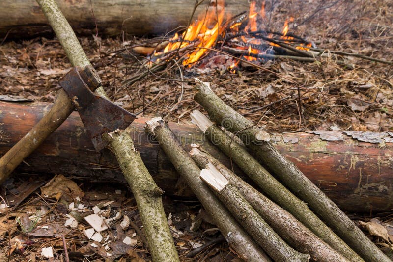 Fire Preparation from Cow Dung for Making Baked Wheat Flour Mixture ...