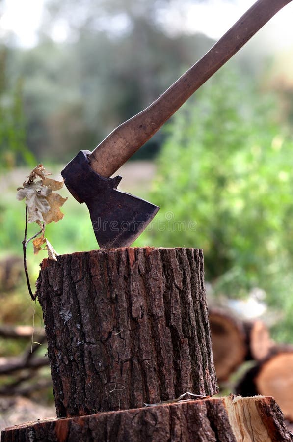 Axe in oak stump stock image. Image of branches, handle - 74568751