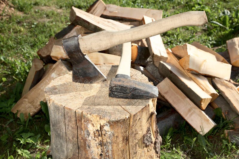 Axe in wood stock photo. Image of axes, lumberjack, loggers - 23504506