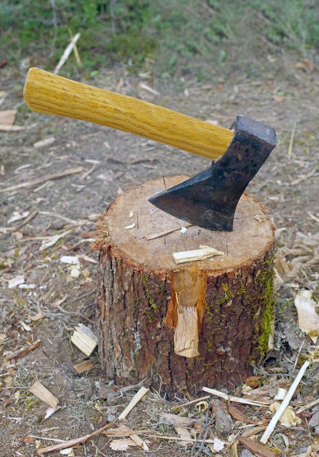 Axe stuck in birch stump stock image. Image of stuck - 126800853