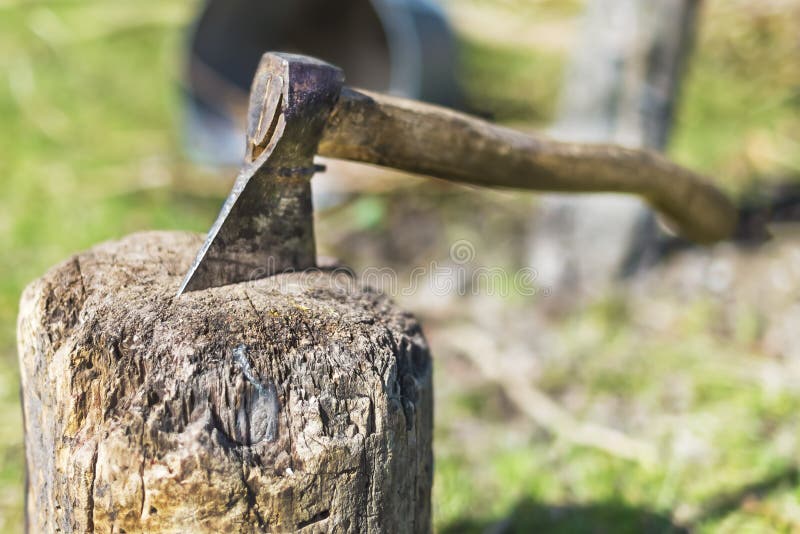 Axe embedded in tree stump stock image. Image of steel - 4877843