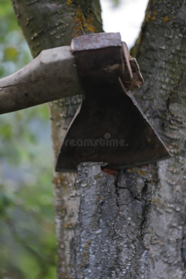 104 Axe Cutting Down Trees Stock Photos - Free & Royalty-Free Stock ...