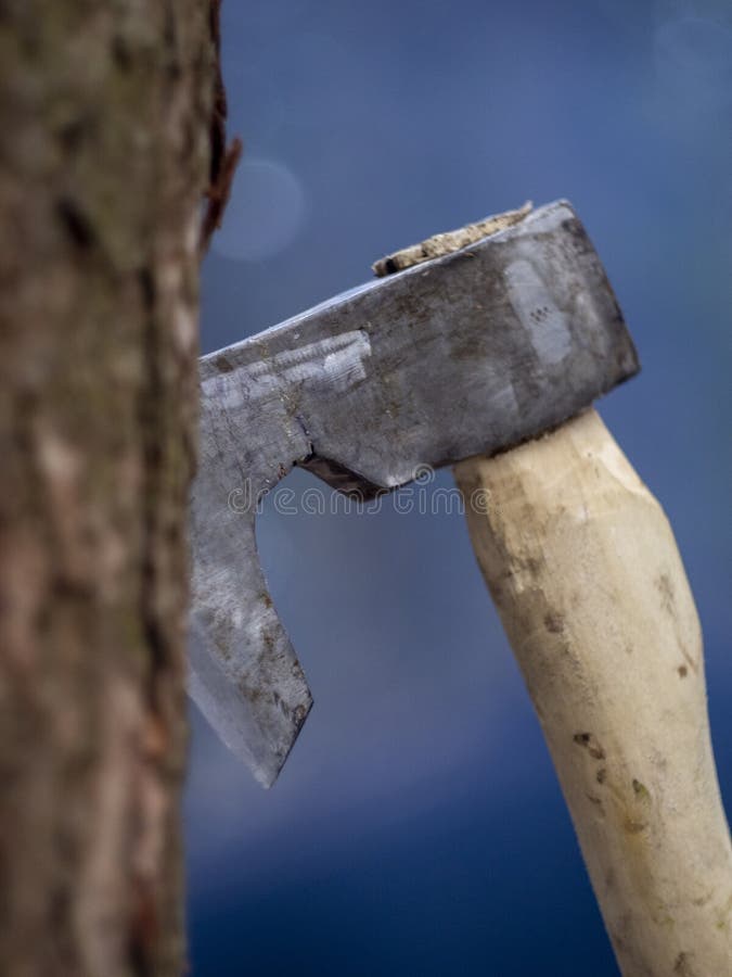 An axe stuck in a tree stock image. Image of stuck, blue - 245297915