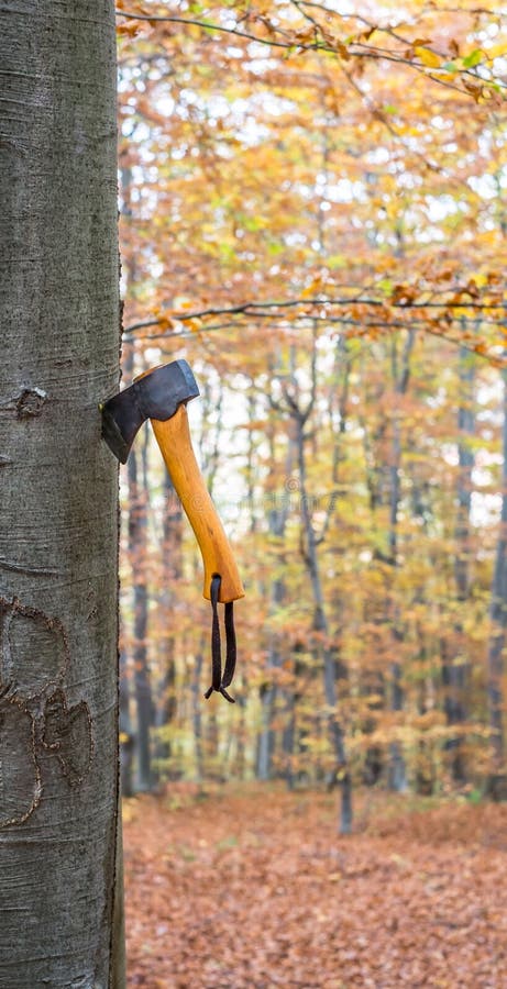 An Axe Stuck Up in the Tree Stump Stock Photo - Image of chop ...