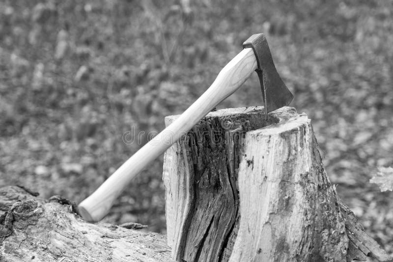 Axe Stuck into Wooden Tree Stump, Forest Stock Image - Image of ecology ...