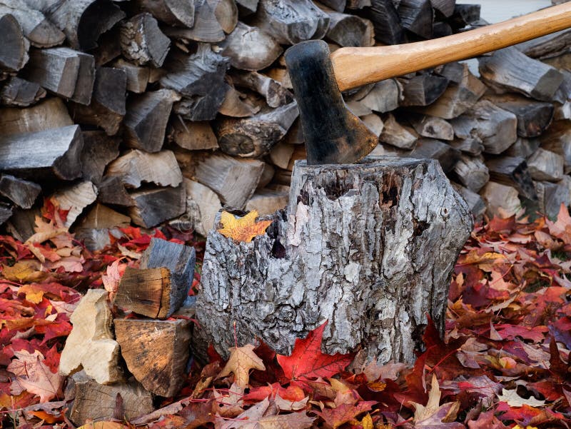 Axe in stump stock photo. Image of stump, tree, bark - 16406626