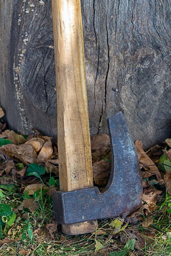 Axe and Stump, Ready for Cutting Stock Photo - Image of standing ...