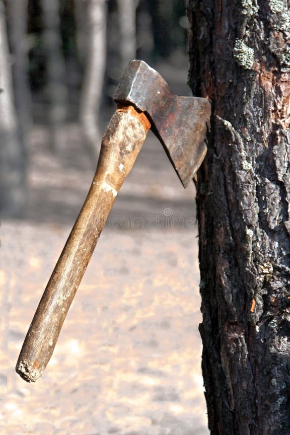 Axe in the tree stock photo. Image of slice, life, lumber - 13832928