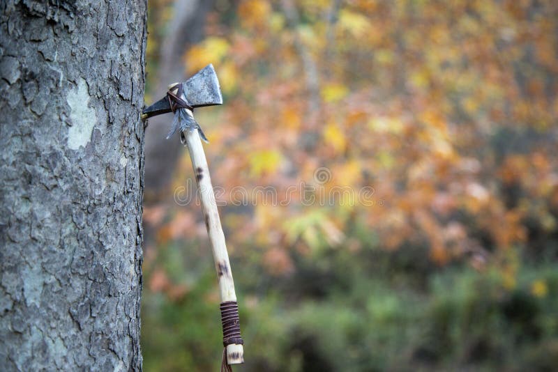 Axe in a tree stock photo. Image of outside, background - 183415402