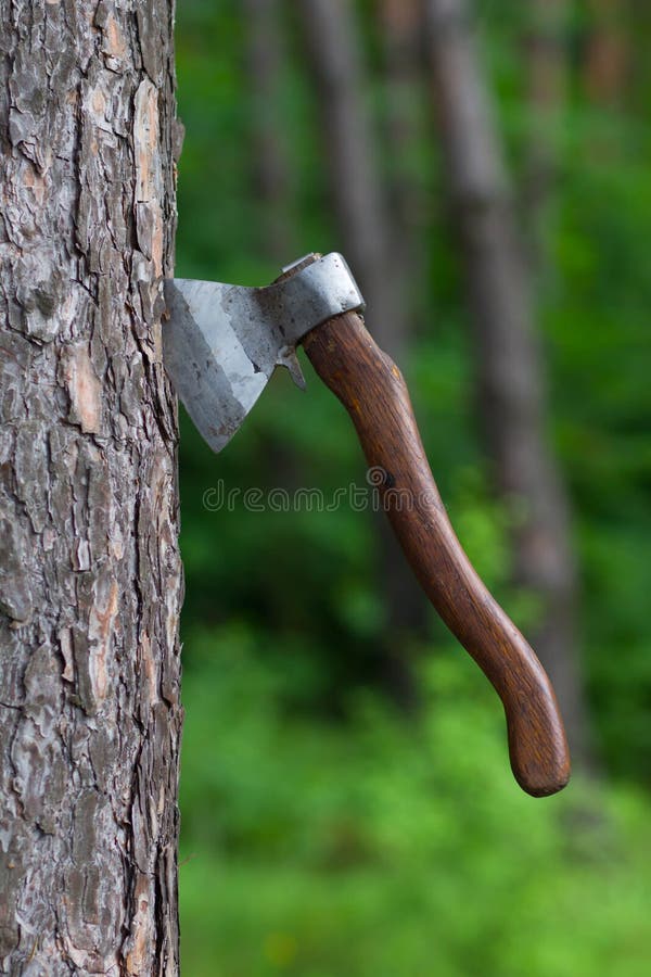 Axe In Tree Picture. Image: 83060354