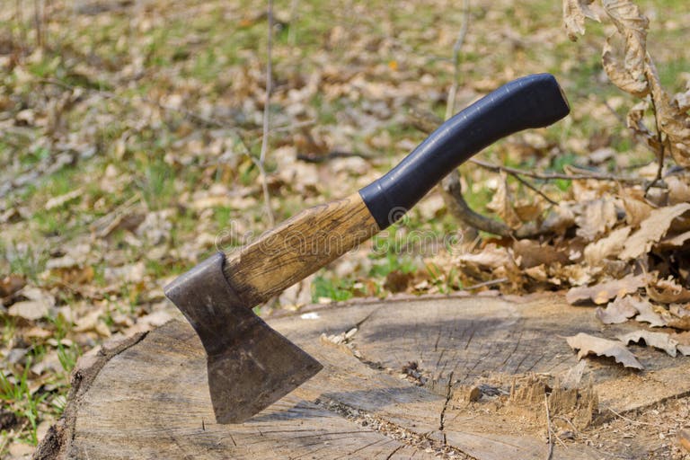 Axe in tree stub stock image. Image of hack, cutout, lumberjack - 18968207