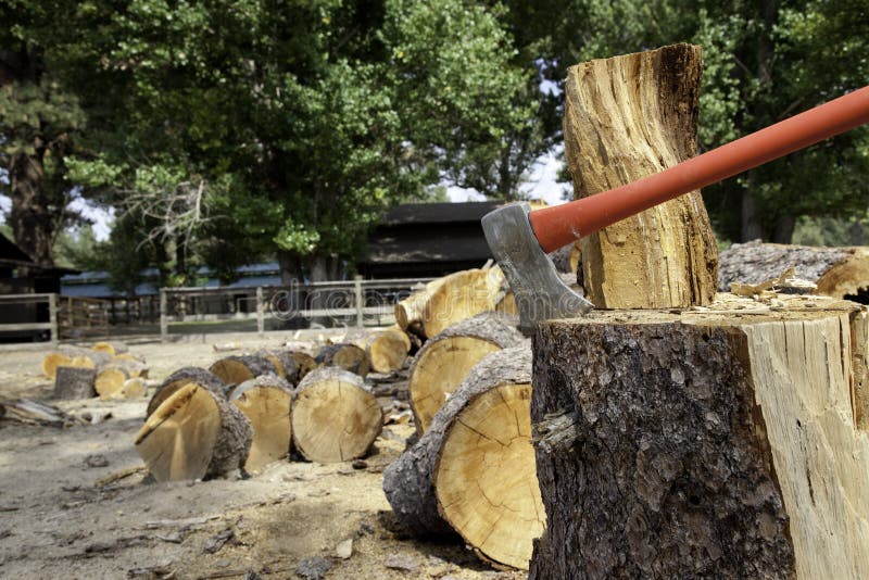 Axe in tree stump stock photo. Image of tool, stump, still - 29668618