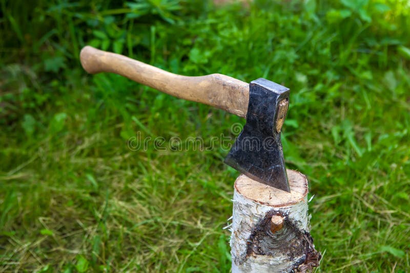 Axe embedded in tree stump stock image. Image of steel - 4877843